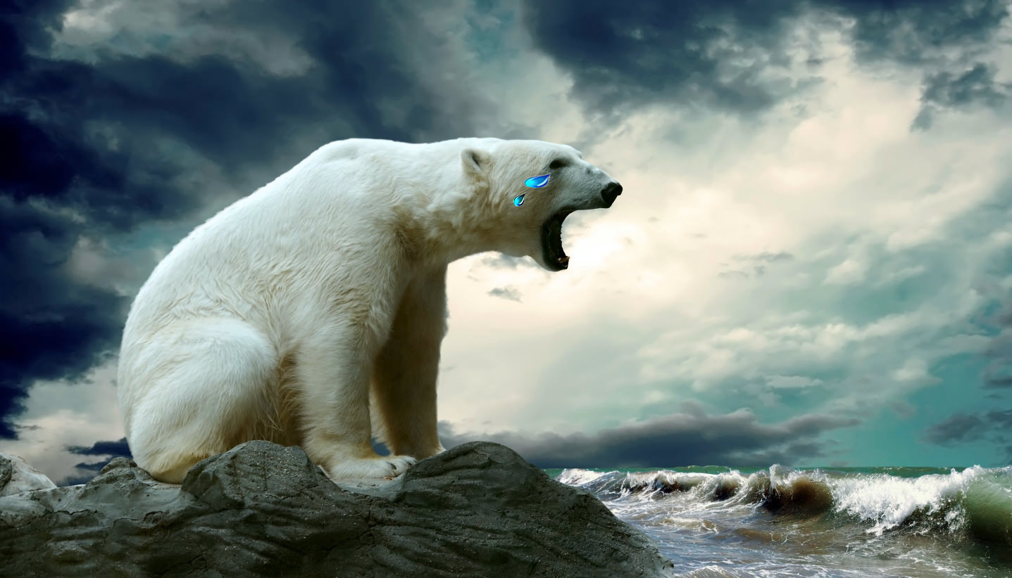 Take your last look.... - iFink!